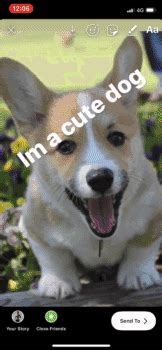 Ios Animate UITextView Between ViewControllers Like Instagram Does