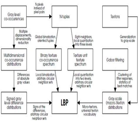 Figure 4 From Texture Classification With Feature Analysis A Wavelet