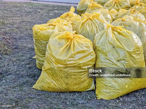 뒤뜰 잔디밭에 있는 큰 흰색 비닐 봉지에 담긴 마른 나뭇잎 더미 가을 또는 봄 단풍 공원에서 쓰레기 제거 자연 폐기물 청소 처리 환경 재해오염 0명에 대한 스톡 사진 및