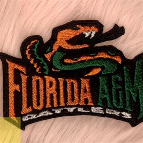 Iron On Famu Patch Etsy