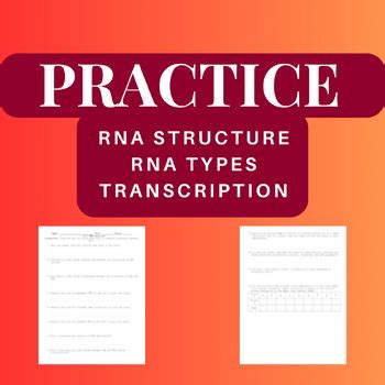 14 1 RNA Practice TSS BIO1 LS1 4 By The Scientific Babe TPT