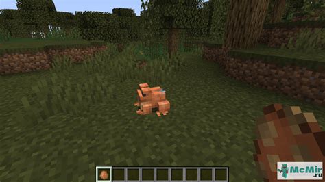 Яйцо призыва лягушки Как сделать яйцо призыва лягушки в Майнкрафт Майнкрафт википедия