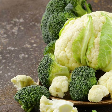 Brassica Range Is Booming Hygrotech