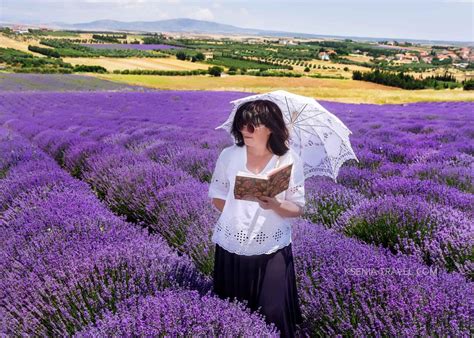Фототур и фотосессия Лавандовые поля Халкидики Греция