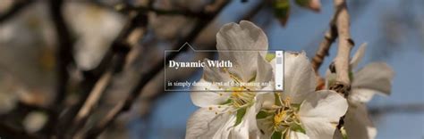 12 Css Arrow Box Examples Source Code Onaircode