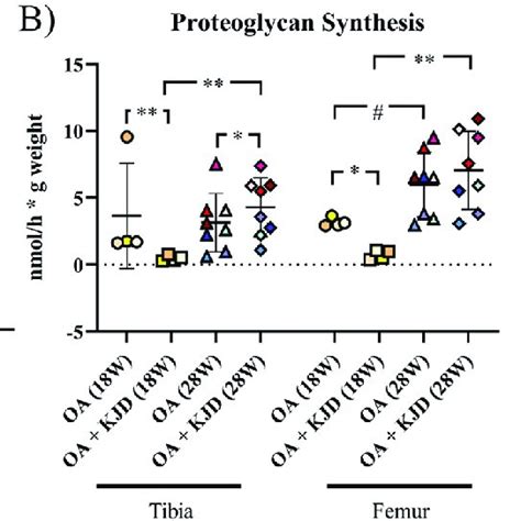 Biochemical Analysis Of Proteoglycans Pg A The Proteoglycan Pg