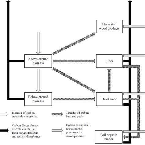 Generalized Carbon Cycle Of Terrestrial Afolu Ecosystems Showing The Download Scientific