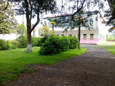 ძველი სენაკის საჯარო სკოლა Home