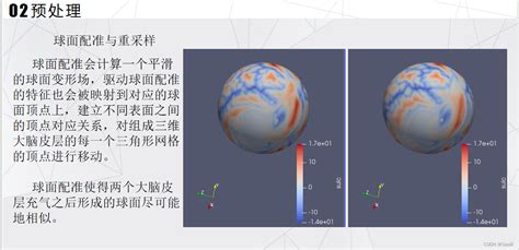 adni数据库t1mri数据处理——基于freesurfer与matlab（2） vtk文件用什么软件打开 csdn博客