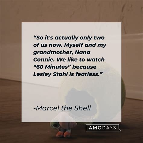 24 Marcel The Shell Quotes That Give A New Perspective On Life