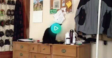 Heres How Much I Care  On Imgur