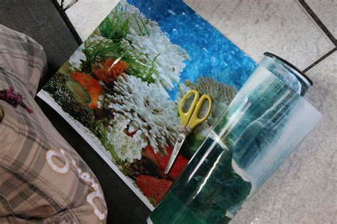 Ways To Make Aquarium Setups Stand Out WikiHow