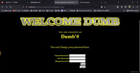 sqli labs less 24 sqlidumb series 24 csdn博客
