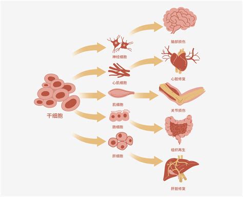 北京臻宠生物科技有限公司
