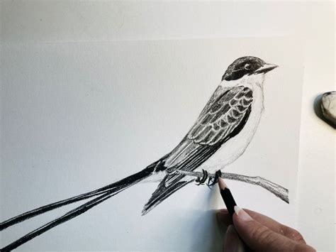 ¿por Qué Dibujar No Es Perder El Tiempo Pasamos Gran Parte Del Día