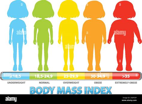 Colorful Bmi Chart With Human Silhouettes Stock Vector Image And Art Alamy