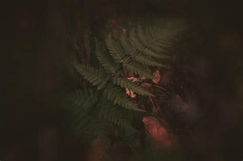 Ambient on Behance