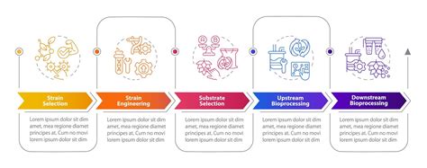 Premium Vector Fermentation Bioprocessing Rectangle Infographic Template