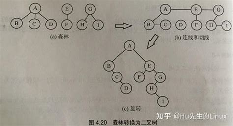 树与二叉树深度剖析 二 知乎