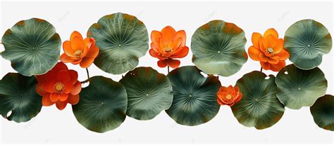 오렌지 수채화 꽃 피는 백합 꽃들 백합 수채화 Png 일러스트 및 이미지 에 대한 무료 다운로드 Pngtree