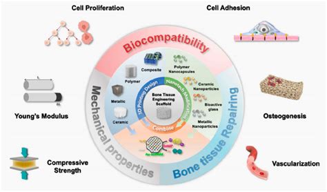 Frontiers Advances In 3d Printing Technology For Preparing Bone Tissue Engineering Scaffolds