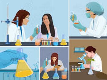 Measurement Lab Exercise With Instructor Keys By Human Biology Resources