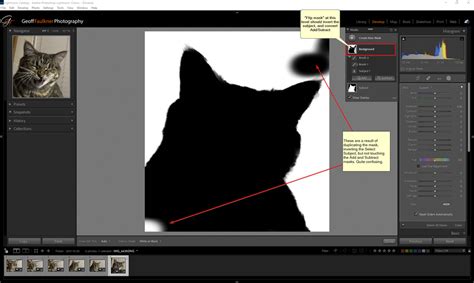 Pmasking Invertflip Mask Group Adobe Product Community 12480309
