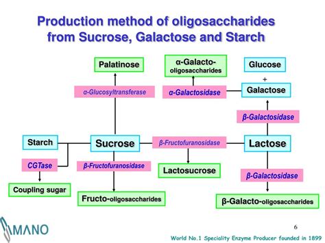 Ppt Oligosaccharides In Japan Powerpoint Presentation Free Download Id 1311905