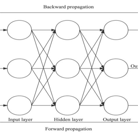 Three Layer Back Propagation Neural Network Topology From Chen Et Download Scientific