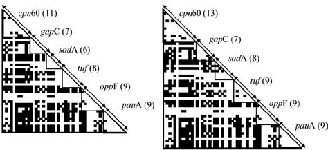 Compatibility Matrix For Concatenated Sequence Data Of Six Genes Of S Download Scientific