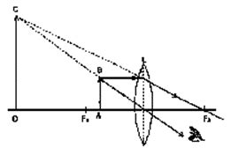 Selina ICSE Class Physics Solutions Chapter Refraction Through Lens