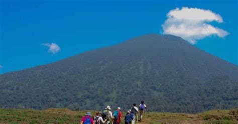 Vandretur Til Mount Bisoke I Volcanoes National Park Getyourguide