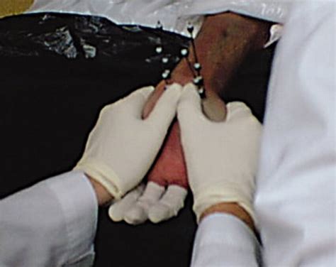 Primary Investigator B M S Performing Manipulation Maneuver Download Scientific Diagram