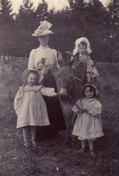 About Joan Begbie New Tales From An Old Forest