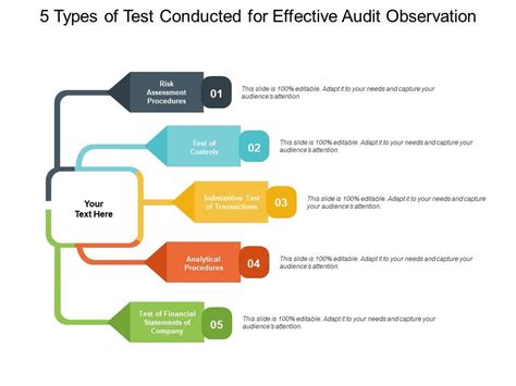 5 Types Of Testing Methods Used For Audit Observation Powerpoint Images