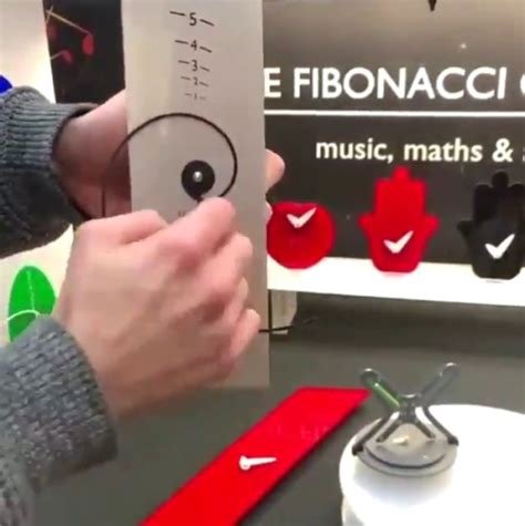 Have You Ever Seen The Fibonaccis Clock Source Jaubaius On Tumblr