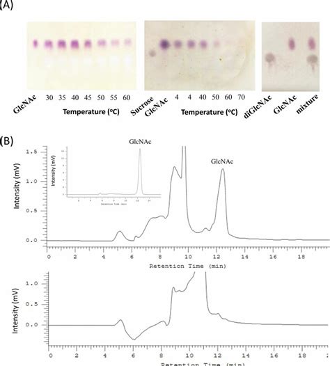 Tlc And Hplc Analyses Of Product Hydrolyzed By Tvmnag2 Using Colloidal