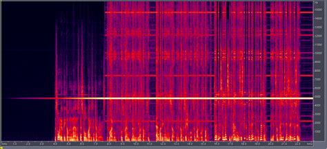 Acoustic Feedback Cancellation DSP ALGORITHMS