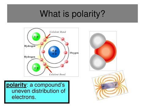 PPT If She Releases It Forward Newtons Law Says That She Will Move