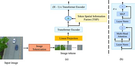 A Overview Of An Encoder Network Design It Consists Of Linear Download Scientific Diagram