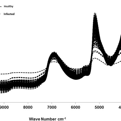 Pre Processed Unit Vector Normalization And Snv Nir Reflectance Spectra Download Scientific