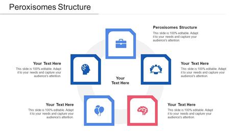 Peroxisomes Structure Ppt Powerpoint Presentation Outline Elements Cpb Presentation Graphics