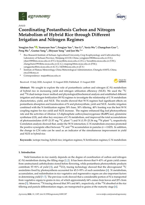 (PDF) Coordinating Postanthesis Carbon and Nitrogen Metabolism of Hybrid Rice through Different ...