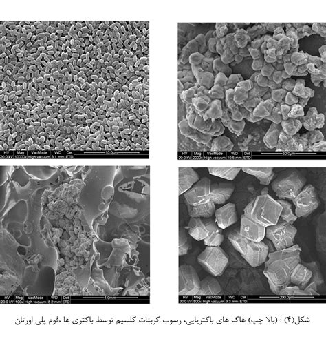 بتن خود ترمیم شونده و بررسی مکانیسم های مختلف خود ترمیم شوندگی شرکت