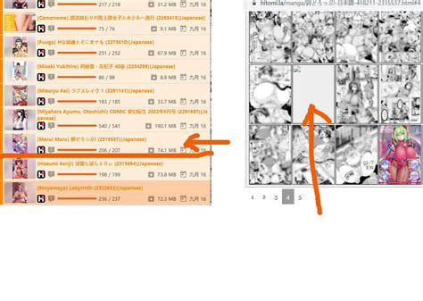 how to fix hitomi source image missing · issue 5310 · kurtbestor