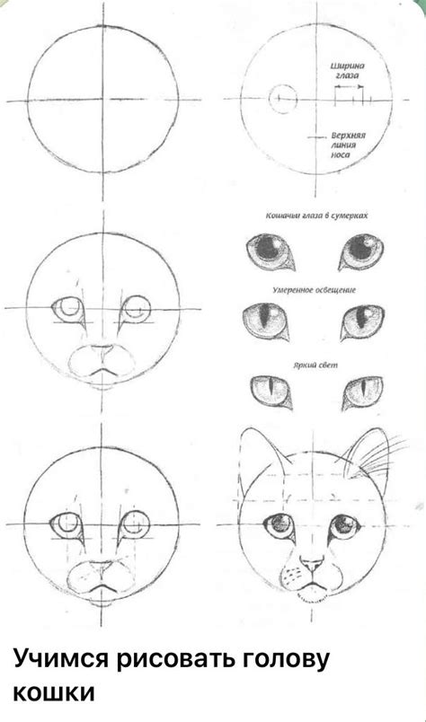 Как Нарисовать Кота Поэтапно