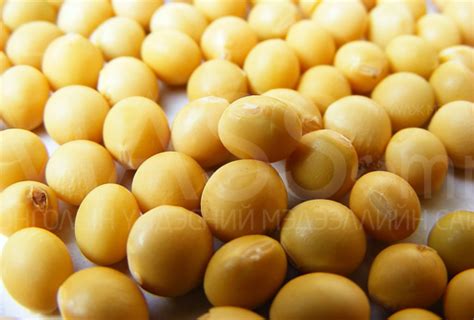 Шар буурцагийн ач тус