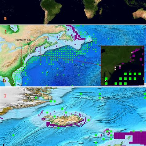 Output Of Our Algorithm A A Table Reporting The Coordinates Of Download Scientific Diagram