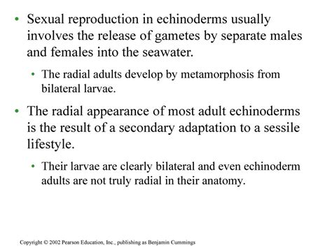 Echinoderms Reproduction