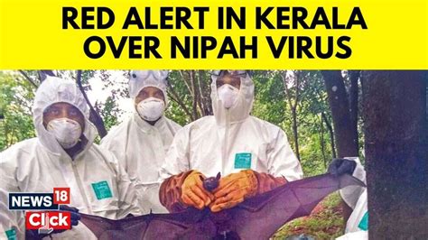 Nipah Virus News Today Kozhikode On High Alert As Nipah Virus Takes
